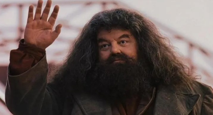 Murió Robbie Coltrane, el actor que interpretó a Hagrid en Harry Potter ...