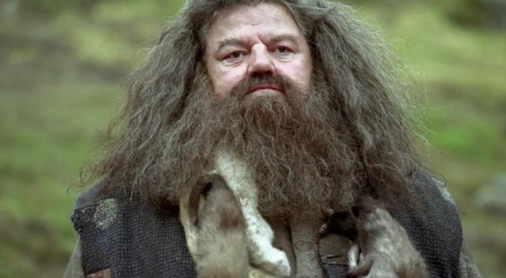 De qué murió Robbie Coltrane, el actor que interpretó a Hagrid en Harry ...
